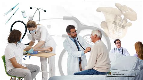 Understanding The Role Of Screening Tests In Preventative Healthcare Lab Tests Guide