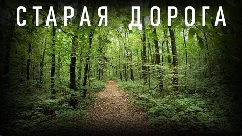 ФАРТОВЫЙ КОП по старой лесной дороге НАХОДКИ МЕТАЛЛОИСКАТЕЛЕМ Xp ПОИСК