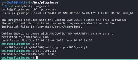 Pilgrimage Hackthebox Writeup Thoviti Siddharth