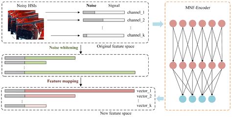 Jointnet Multitask Learning Framework For Denoising And Detecting Anomalies In Hyperspectral