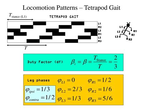 Ppt Bio Inspired Locomotion Control Of Hexapods Powerpoint Presentation Id3736608