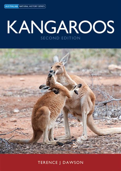 Kangaroos Nhbs Academic And Professional Books
