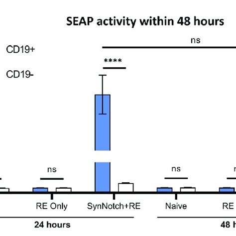 In Vitro Assessment Antigen Specificity Of Synnotch Secreted Reporter