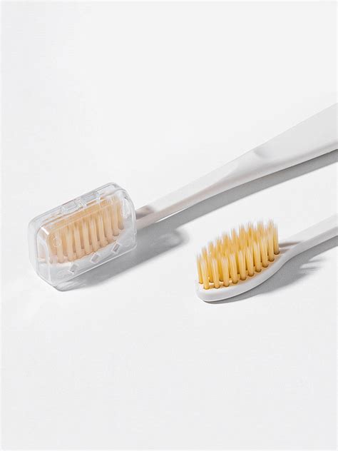 투스티 황금두꺼비 칫솔 Eternal Journey