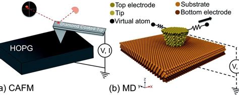Friction Force Microscopy Blog Nanosensors™ Randd Leaders In Afm Probes Since 1990