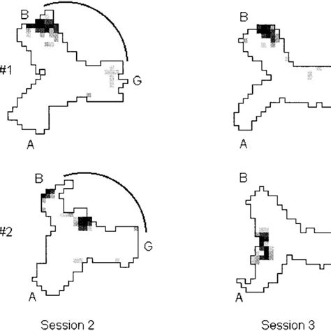 Firing Rate Maps Of Two Place Cells During Sessions 2 And 3 Cell 1