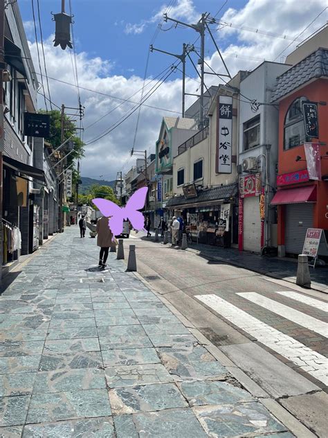 椿ちゃんひるねこ裏店員 On Twitter 待ってw こんな人少ない奈良久しぶりに見た😂