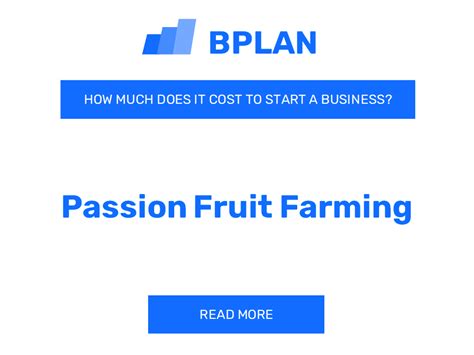 Cost To Start Passion Fruit Farming Expert Guide And Tips For Launch