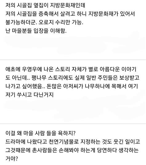 우영우 팽나무 천연기념물 지정된다 마을 주민들은 반발  포텐 터짐 최신순 에펨코리아