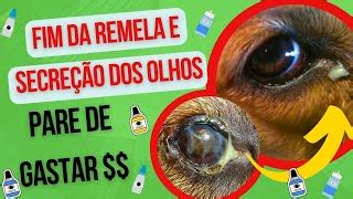 CACHORRO OLHOS CHEIOS DE REMELA E SECREÇÃO COLÍRIO Doovi