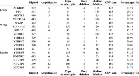 different cnv patterns occur in endometrial cancer samples n 529