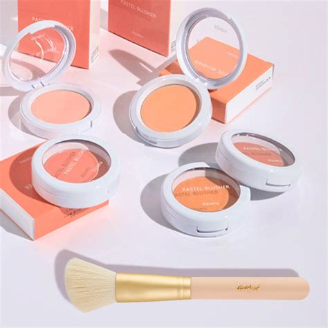 어퓨 파스텔 블러셔 파우더브러쉬 위시버킷