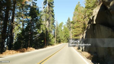 세쿼이아 숲에서 자동차를 운전 자동차에서 관점보기 킹스 캐년 근처의 큰 레드 우드 수공 나무와 도로 미국 북부 캘리포니아 국립공원에서 의 도로 여행 히치하이크 여행 0명에