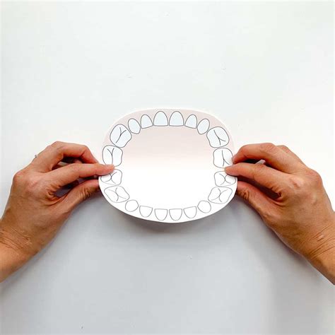 Lift A Flap Tooth Brushing Activity For Preschoolers Free Printable