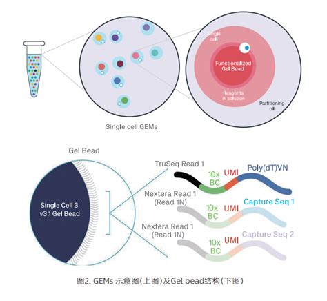 万循多组学中心 多组学一站式服务平台