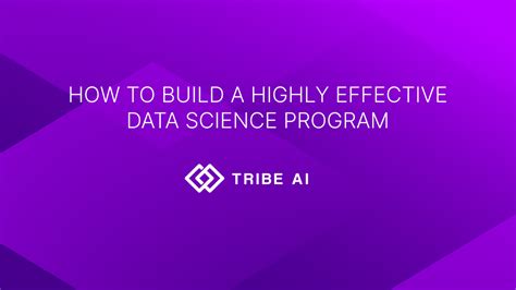 Applied AI How To Build A Highly Effective Data Science Program Tribe AI
