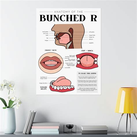 Anatomy Of The Bunched R Speech Sound Poster Speech Sound Cue Poster Speech Therapy Poster