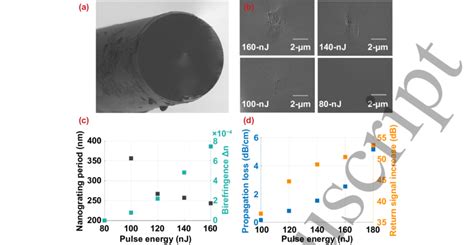 A A Sem Photo Of The Optical Fiber Sensor Cross Section With The