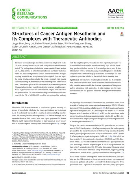 Structures Of Cancer Antigen Mesothelin Pdf Protein Purification Monoclonal Antibody