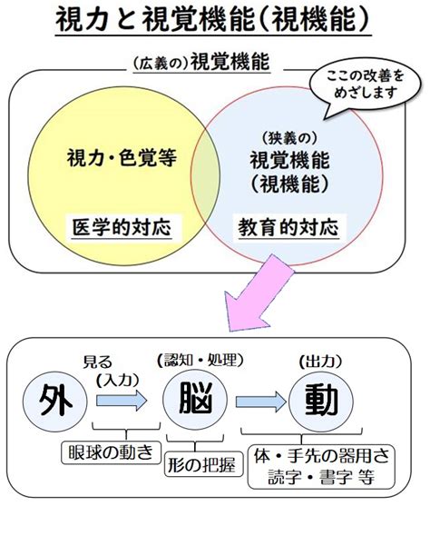 視機能とは ジョイビジョン南但（なんたん）