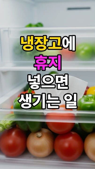 냉장고에 휴지 넣으면 생기는 일 Youtube