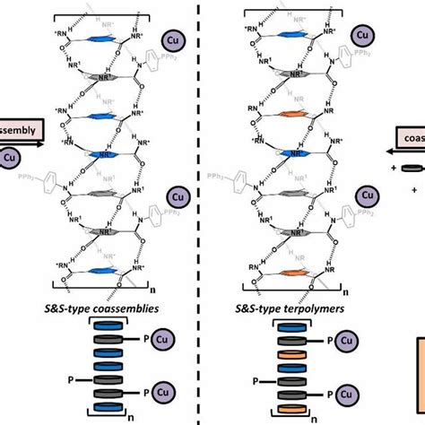 Scheme 1 Molecular Structures Of The Bta Monomers Bta P As Soldier Download Scientific