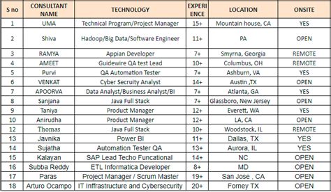 Pm Appian Developer Qa Power Bi Java Etl Informatica Developer