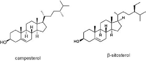 Chemical Structures Of Some Phytosterols Download Scientific Diagram
