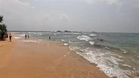 Отзыв о Пляж Хиккадува Шри Ланка Южная провинция Пляж с черепахами