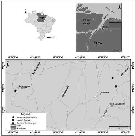 fig 1 in karyotypic and morphological divergence between two cryptic