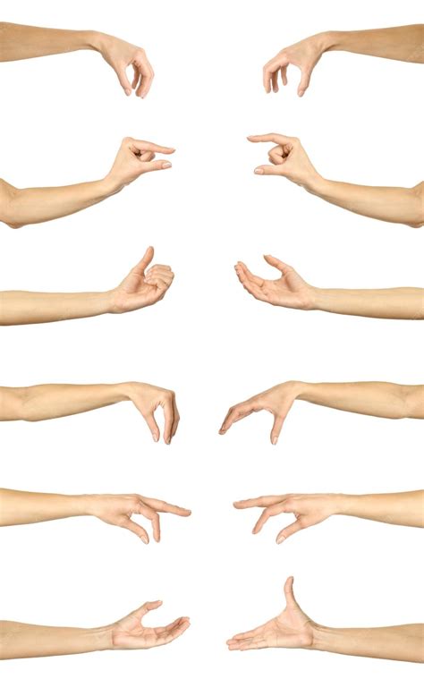 Premium Photo Multiple Images Set Of Female Caucasian Hand With French Manicure Hands