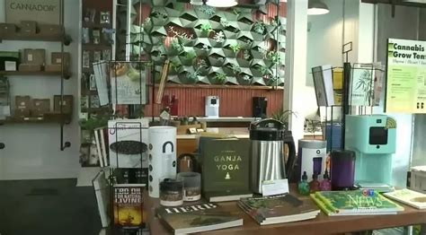 开课教你在家种大麻 合法 也是醉了 课程
