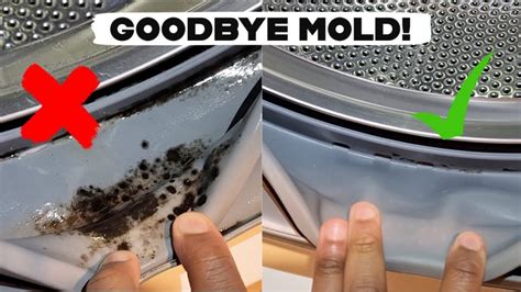 Mold Issues With Front Load Washers Solved GUIDE