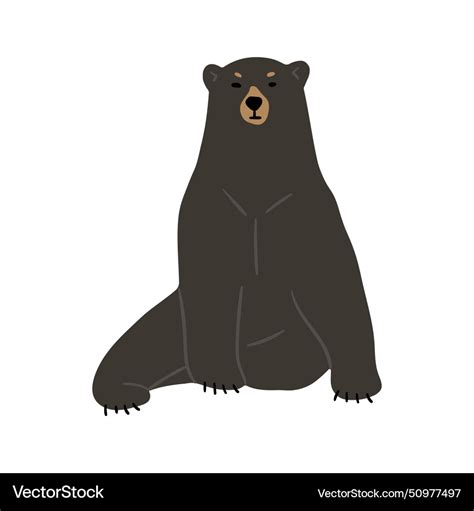 American Black Bear Single 12 Royalty Free Vector Image