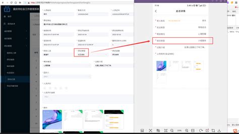 Bug 7489 【探访记录】探访类型 回显的内容不对。和app上填的 显示不一样。（同一条数据 再电话回访里面 也显示了一个不一样的值