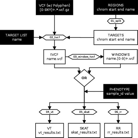 Github Vforget Rare Variant Pipeline Analyze Genomics Regions Using