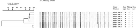 upgma tree of aflp banding patterns of c neoformans var neoformans