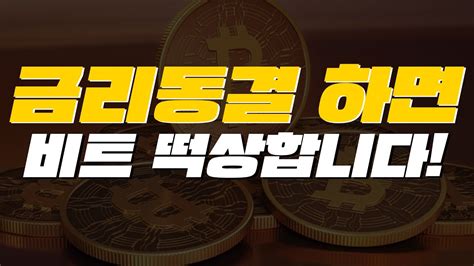 금리동결 하면 비트 떡상합니다feat 은행파산 오히려 좋아 비트코인 업비트코인 업비트 업비트코인추천 무료코인