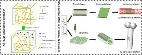 形状记忆plla Tmc无规共聚物的 体外 降解行为 Colloids And Surfaces A Physicochemical And