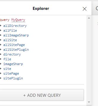 Gatsby Source Wordpress Polylang Not Exposing Data As Shown In The