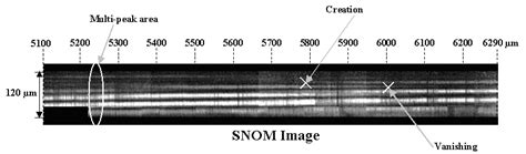 near field optical image of the recombination area several