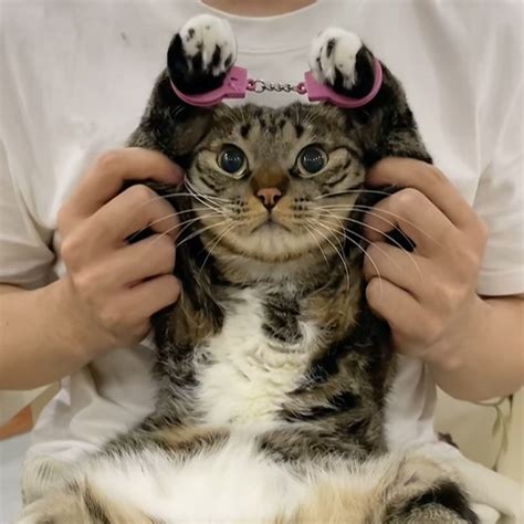 邢平cn s blog