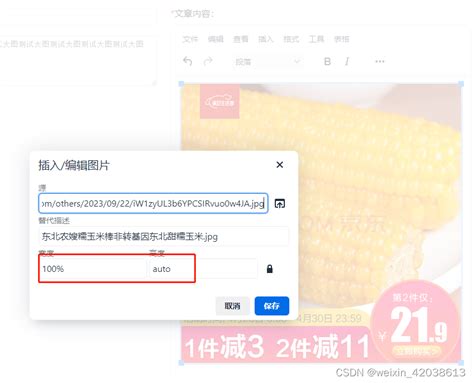设置tinymce富文本编辑器上传图片后最大宽度为100 并保持图片横纵比timymce 插入图片宽高 Csdn博客