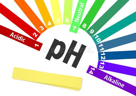Ph Scale Litmus Paper Color Chart Stock Vector Illustration Of Base