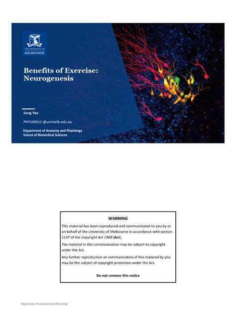 Phys30012 Week6 Neurogenesis Pdf Neurogenesis Neuroscience