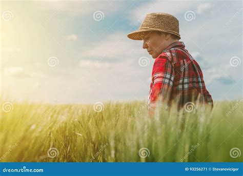 Crop Protection And Growth Development Control In Agriculture Stock Image Image Of Caucasian