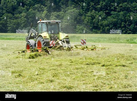 Heuernte Machen Heu Machen Fotos Und Bildmaterial In Hoher Auflösung