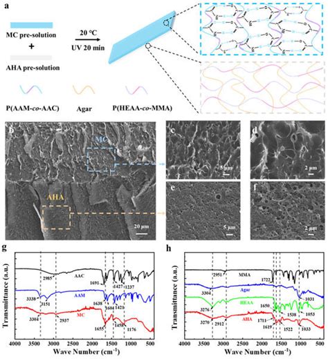 Polymers Special Issue Advances In Functional Polymer Materials For