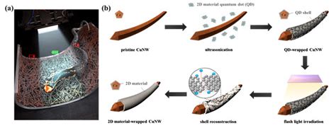 Dgist 구리 그래핀 나노선 저원가 대량합성 기술 개발 전자신문