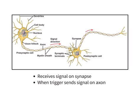Neural Networks Spark Mllib Deep Learning Ppt